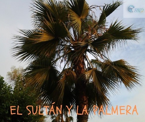 ¡El sultán y la palmera! – MARIA ELENA B. ELÍAS
